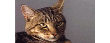 This week's Monday Morning Gloom Buster